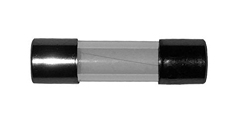 Divine Lighting GDC 600mA Slow-Blow Fuse T600ma 250v GDC600mA GDC 600 ...